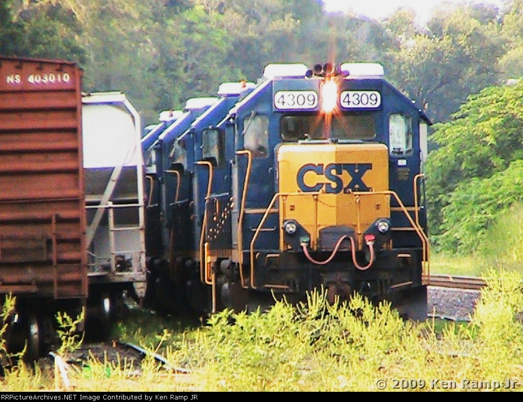 CSX #4309